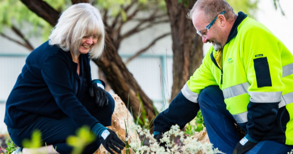 Waterwise Garden | Aqwest