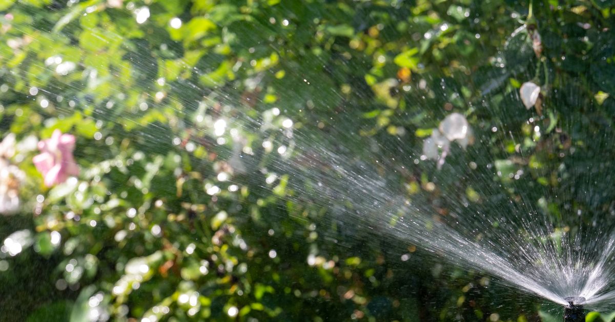 Watering days | Aqwest