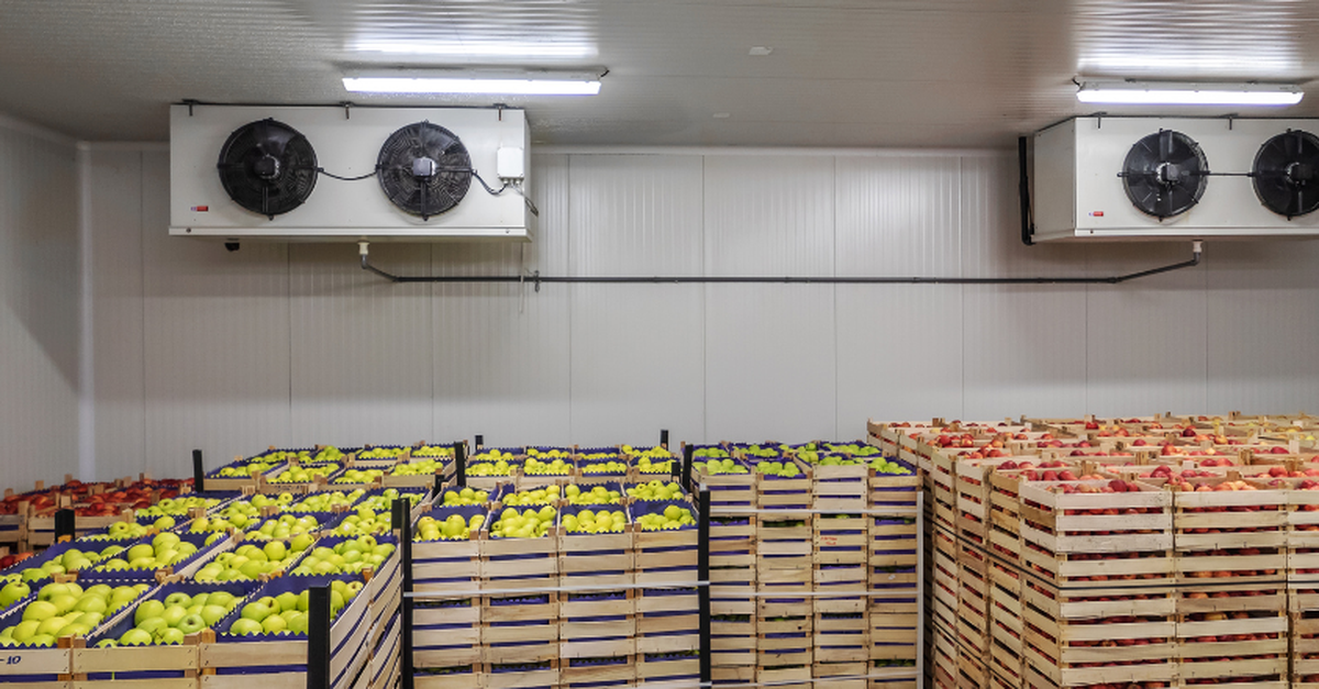 The Importance of Food-Grade Cleaning Solutions in Cold Stores | The ...