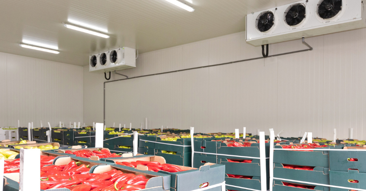 How Mould Can Form in a Cold Store: Understanding the Risks and ...