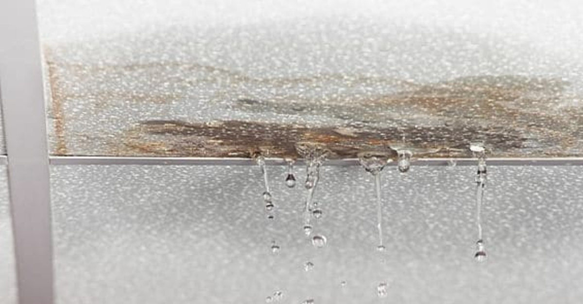 Understanding Water Damage Categories and Their Impact on Restoration ...