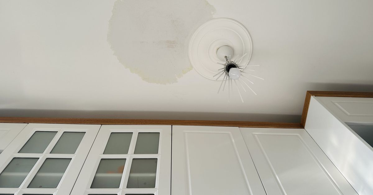 Safeguard Your Ceiling from Water Damage: Causes, Signs, Prevention ...