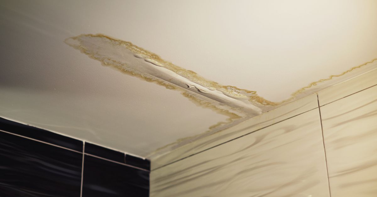 What to Do When Your Ceiling Has Water Damage | What to Do When Your ...