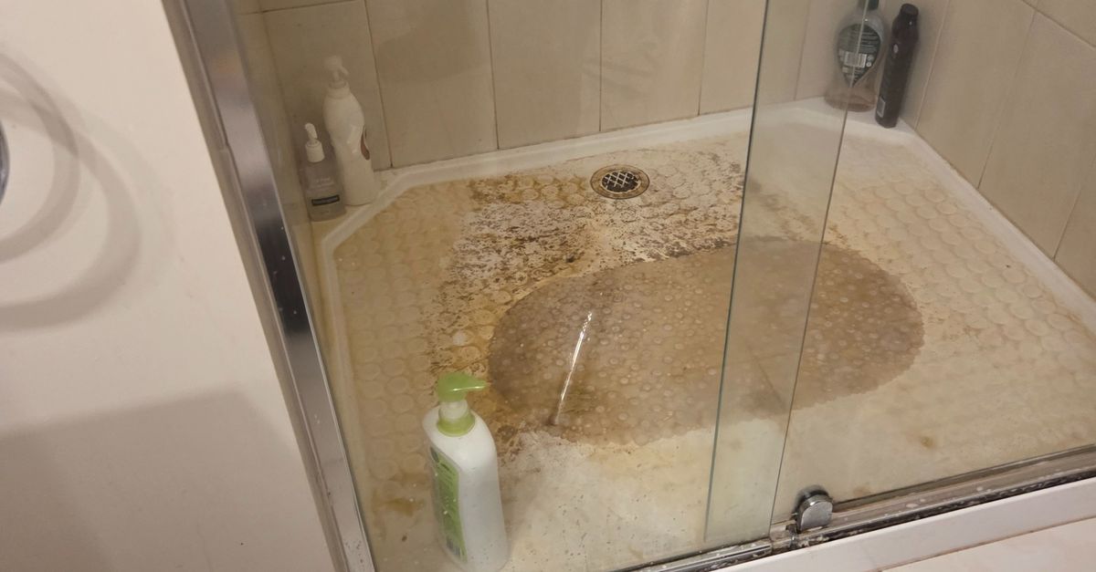 Rapid Response to Category 3 Water Damage in Taylors Hill | Steamatic ...