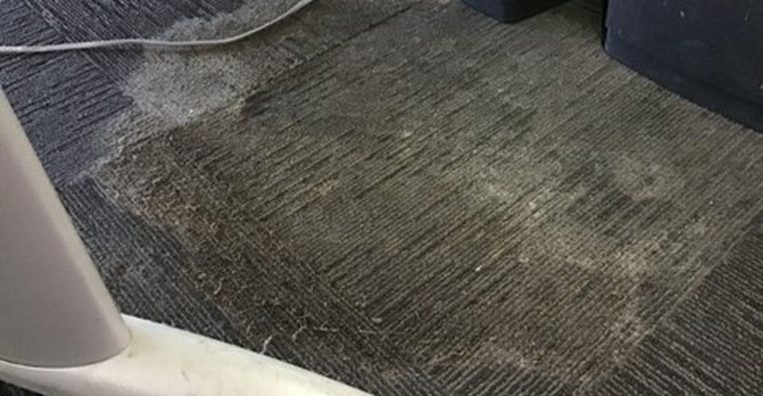 Steamatic Townsville Remediates Mould | Commercial Property | Steamatic ...