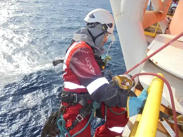 Data Analysis and Reporting Officer