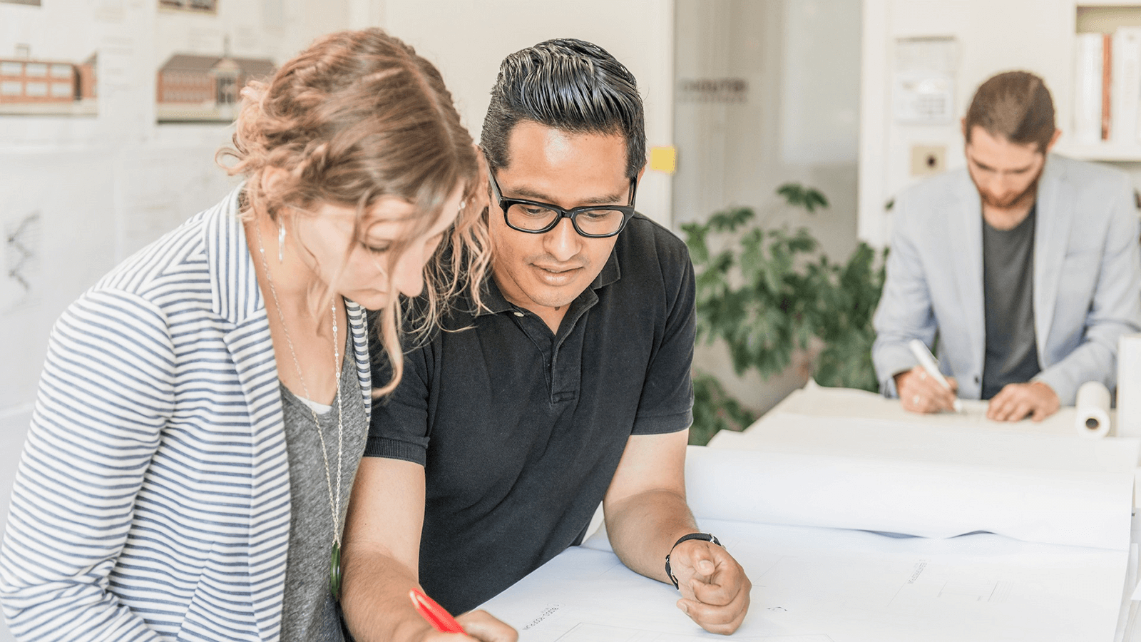 Service Lines - For Business, Corporate and Individuals | Findex