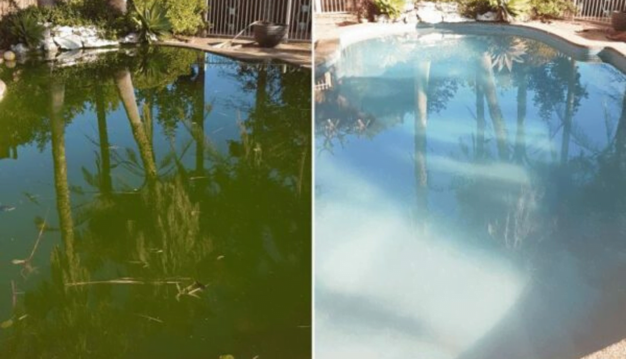 5 Effective Tips to Fix Your Green Pool | Poolwerx Australia