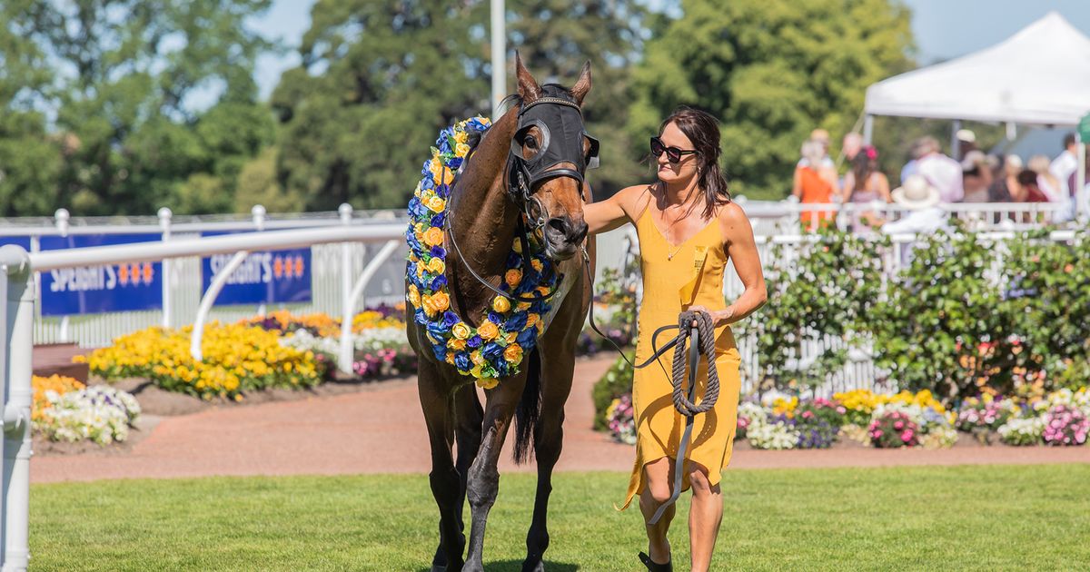 TAB Racing Club Mile Day | ChristchurchNZ.com