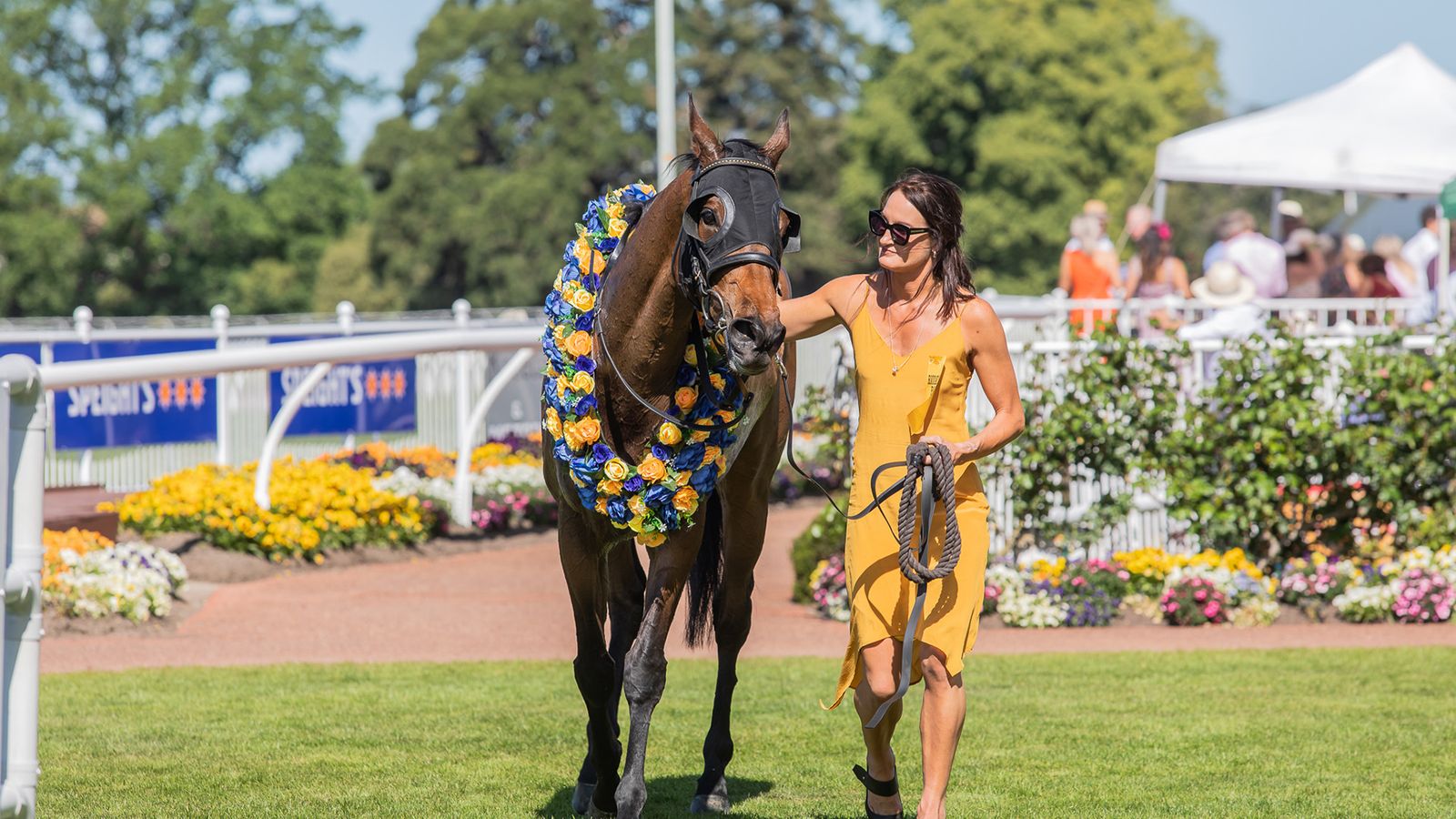 TAB Racing Club Mile Day | ChristchurchNZ.com