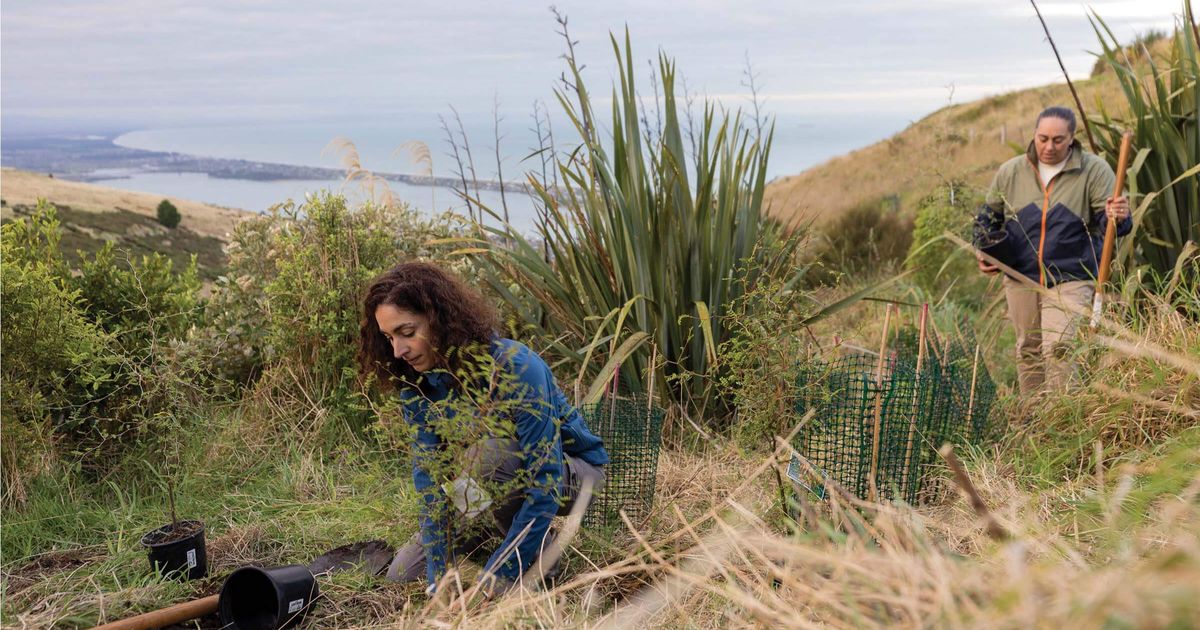 ChristchurchNZ launches The Conference Legacy Project - ChristchurchNZ ...