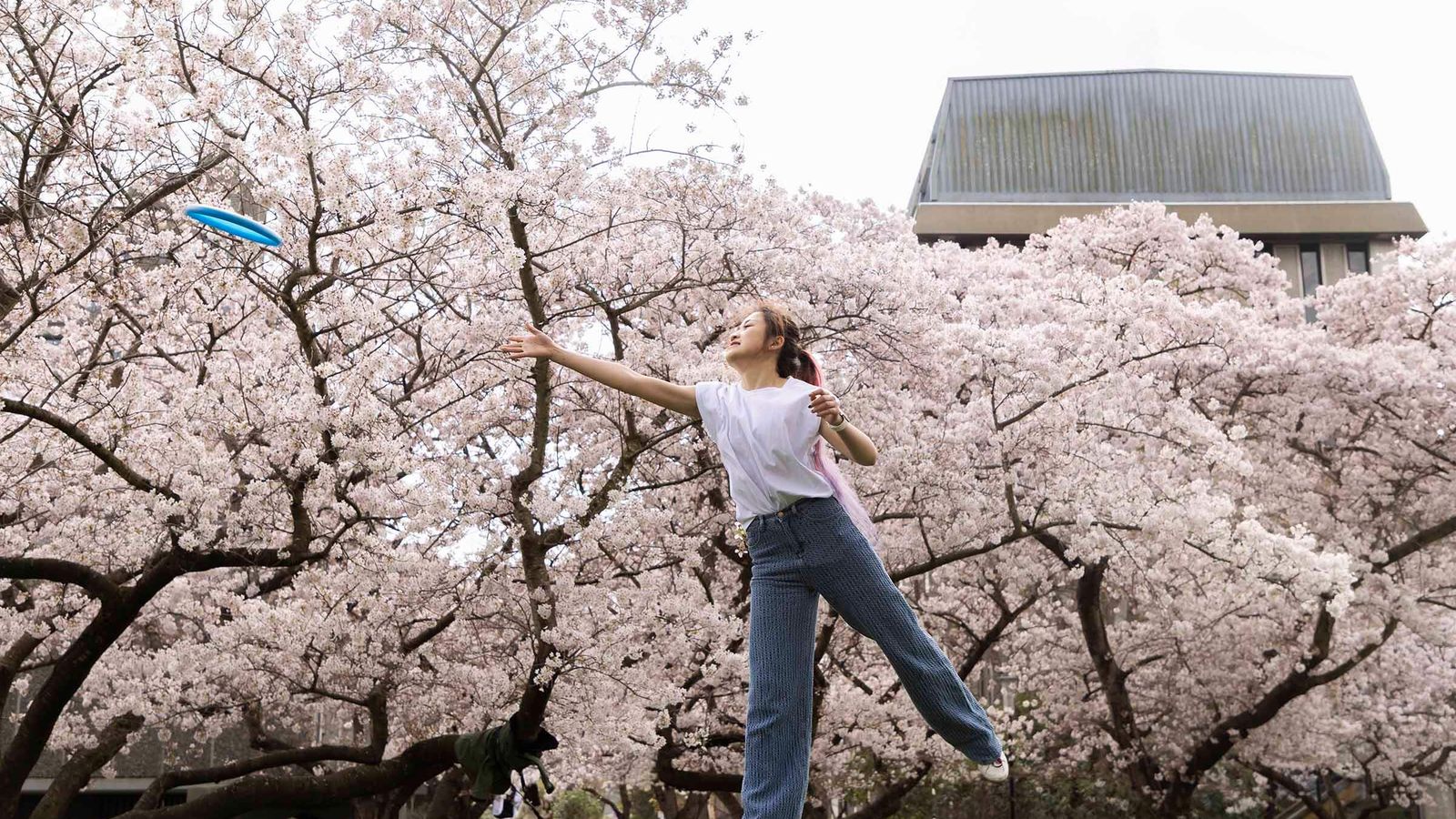 5 must do spring activities in Christchurch | ChristchurchNZ.com