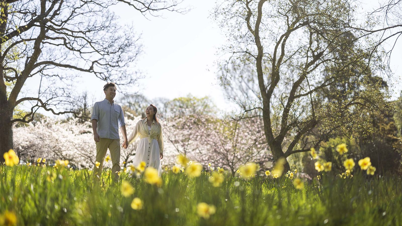 Say hello to spring in Ōtautahi Christchurch | ChristchurchNZ.com