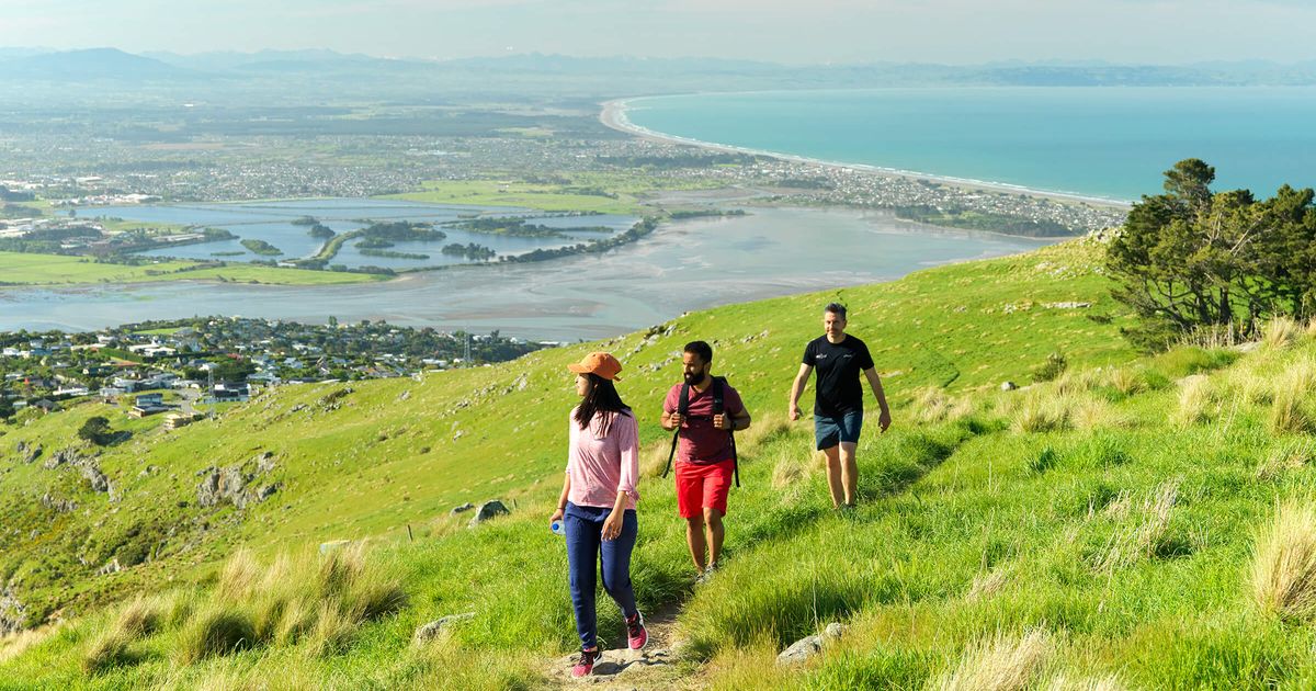 Top 5 short walks with amazing views around Christchurch ...