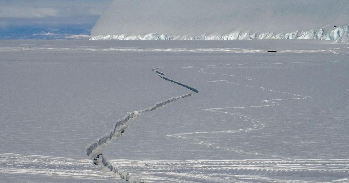 From Classroom To Ice Cap: Bu Windsor’s Antarctic Adventures ...