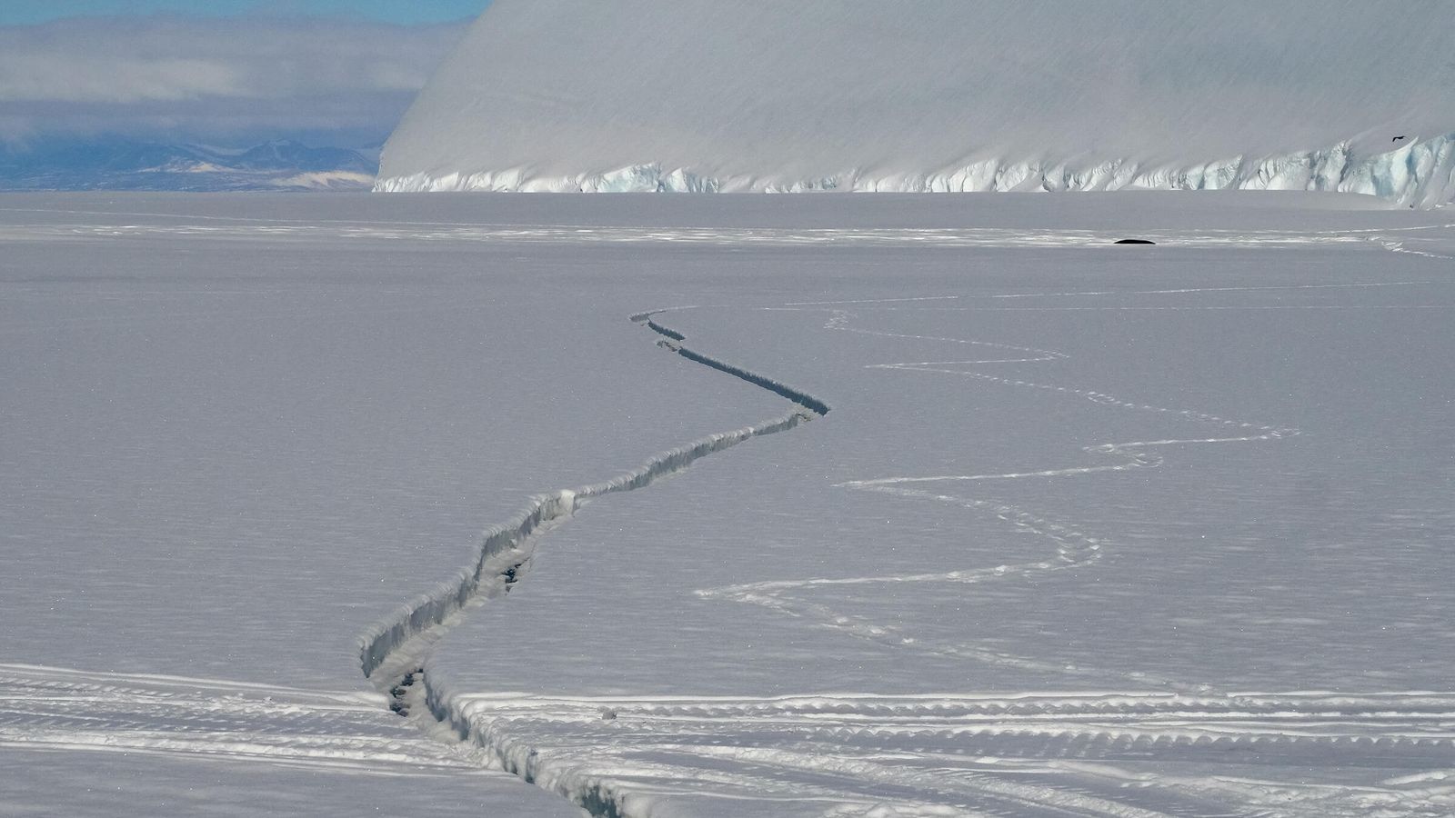 From Classroom To Ice Cap: Bu Windsor’s Antarctic Adventures ...