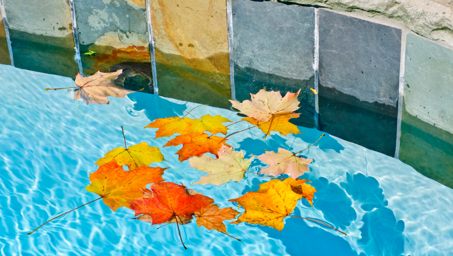 How to keep leaves out of your pool this fall - Poolwerx